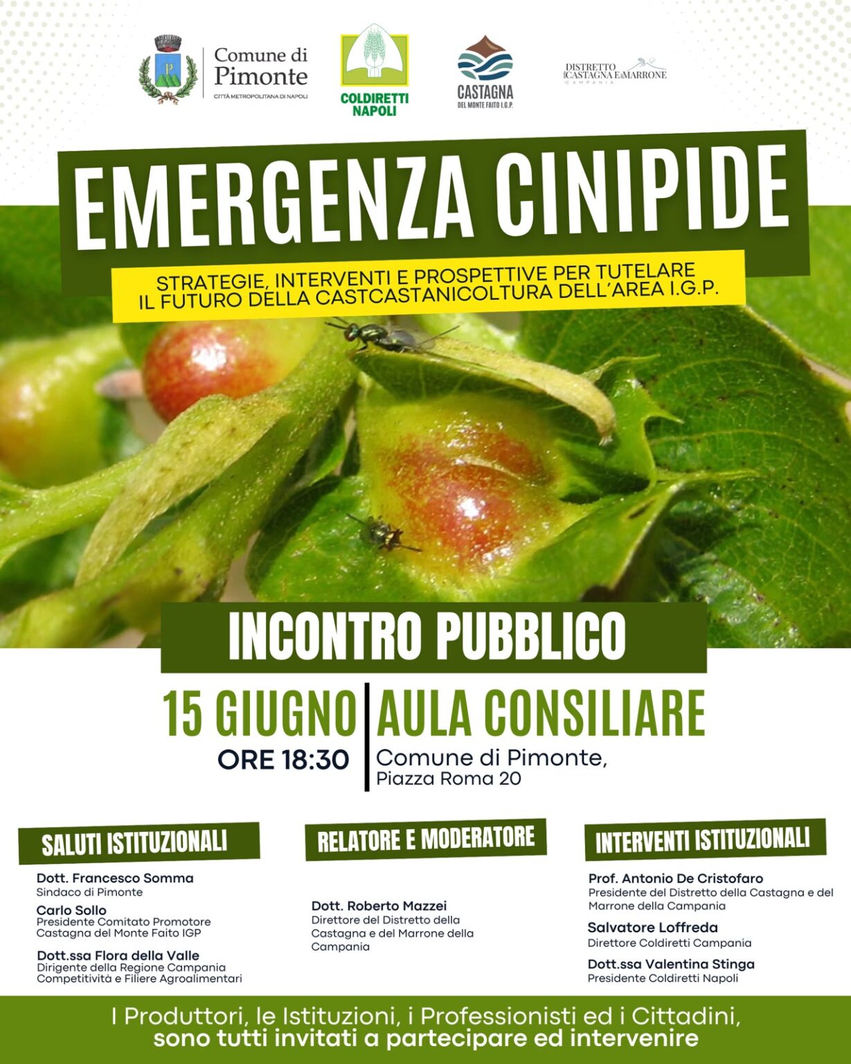 Castagna del Monte Faito, emergenza cinipide
